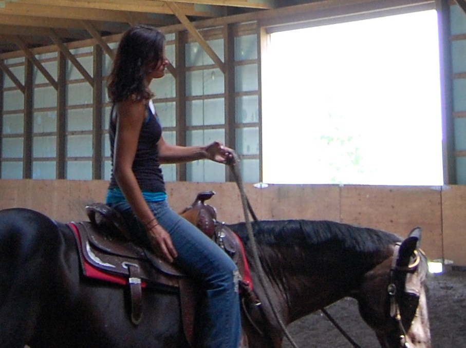 Riverwind Stables Riding Lessons American Saddlebreds saddlebred for sale show horses saddlebred ...